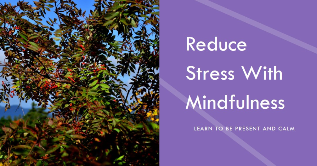 Mindfulness Based Stress Reduction